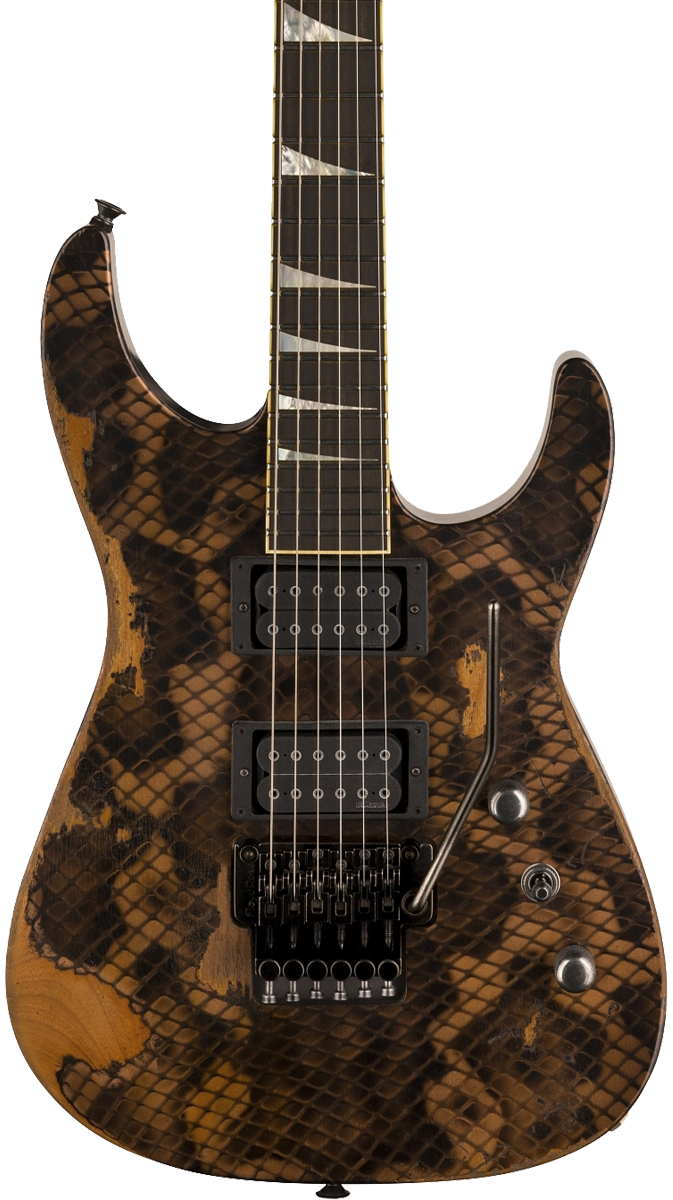 Jackson Custom Shop Special Edition Dinky Roasted Rattler w/case – Tone ...